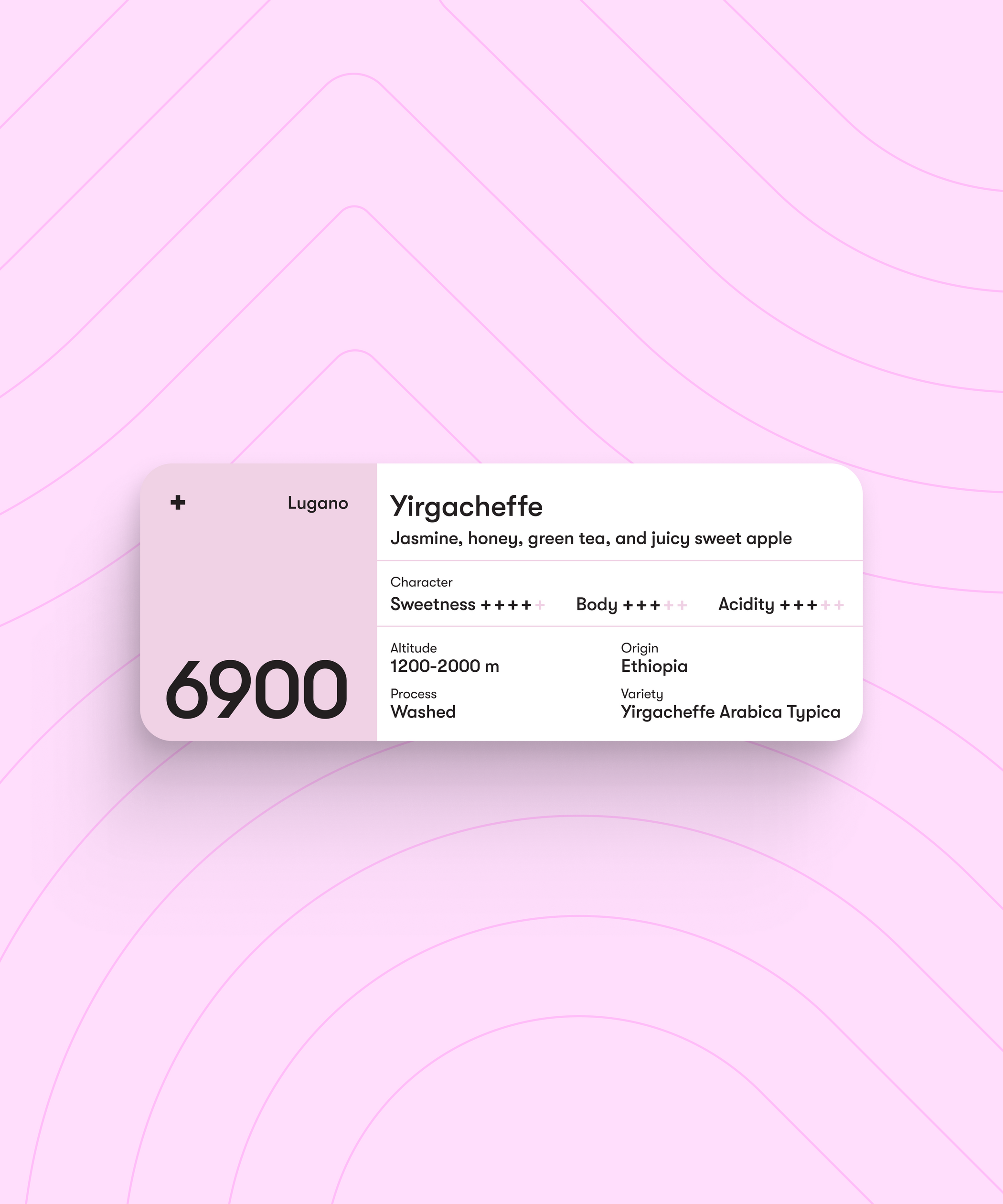 C+ Coffee - Switzerland's Best Specialty Coffee – Cplus Coffee